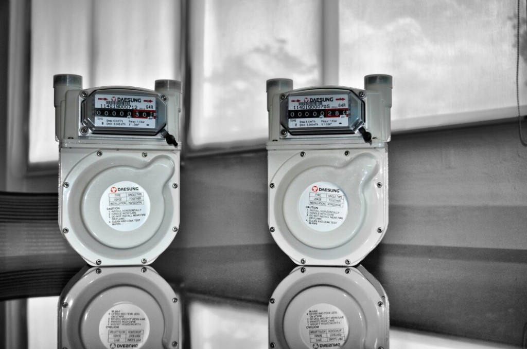 Daesung Gas Meter